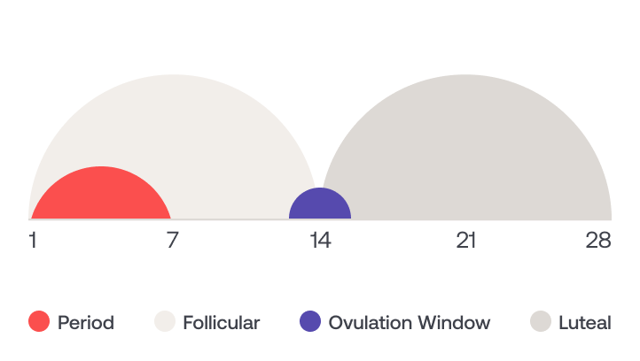 Withings App - iOS - Cycle Tracking: Understanding your cycle ...