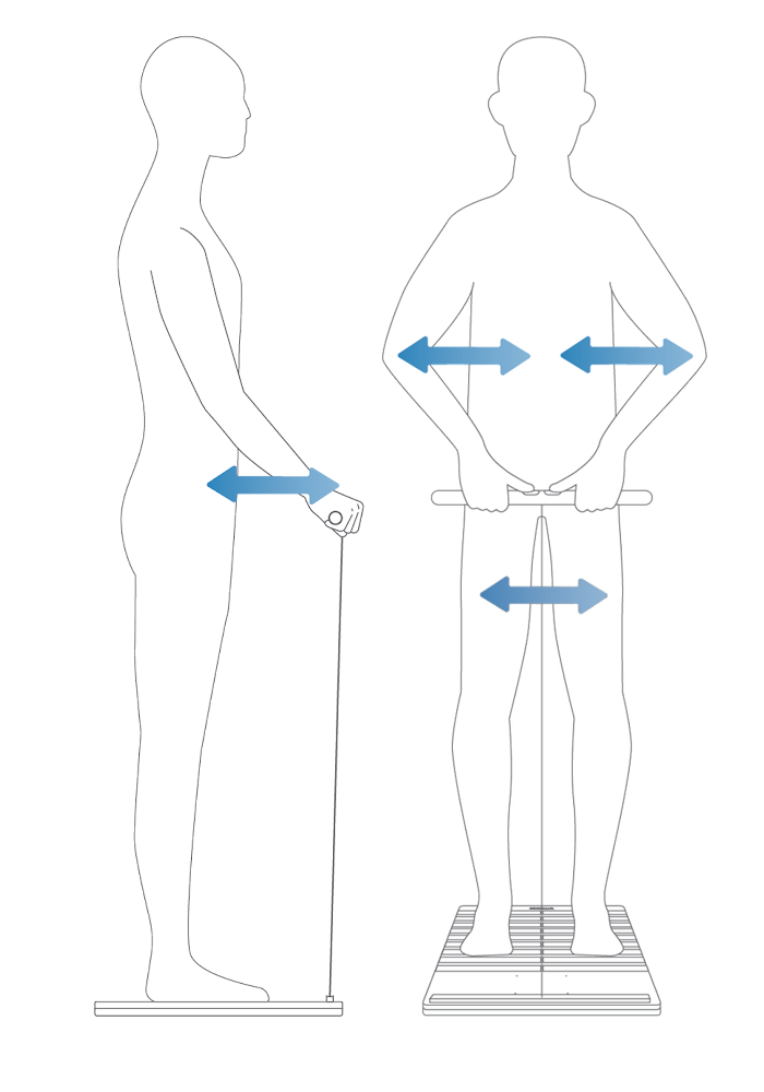 Body Segment - Learn more about Segmental Body Composition – Withings ...